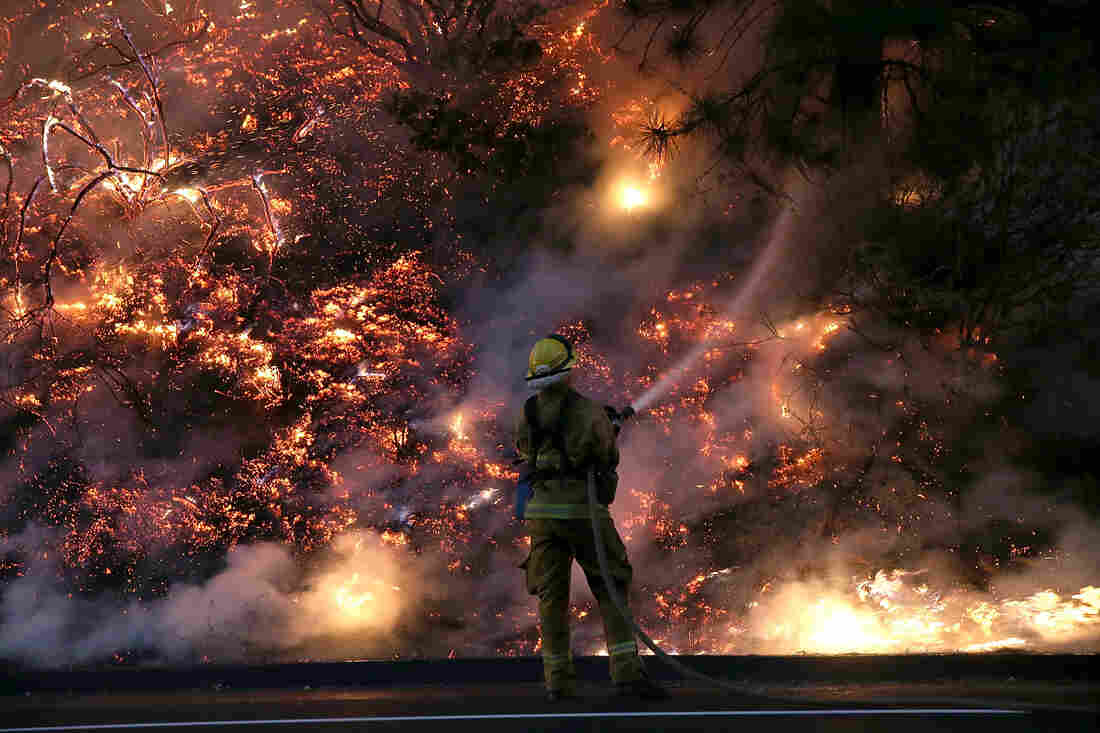 A Firefighter Uses A Hose To Douse The Flames Of The Rim Fire On
