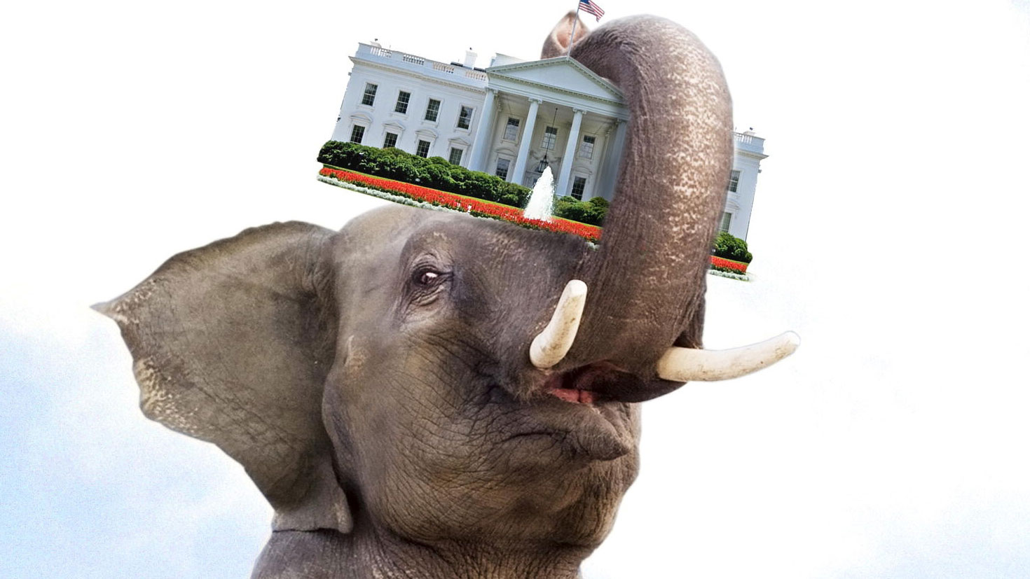 Matt Latimer, Struck 'Speech-Less' By The D.C. Noise : NPR