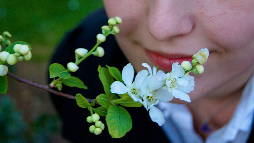 Five Senses, Minus One: Living Without Smell : NPR