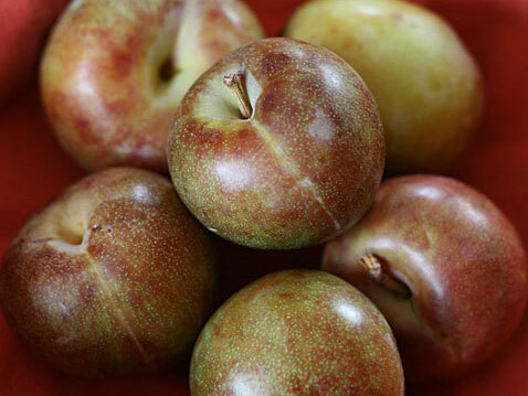 Pluots And Apriums: The Best Of Both Parents : NPR