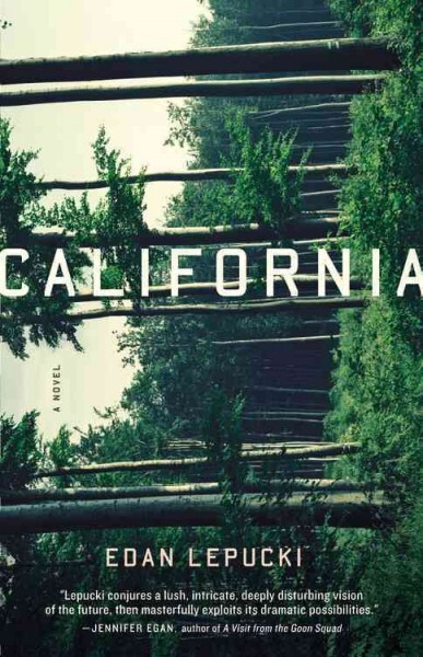Book Review: 'California' By Ellah Allfrey : NPR