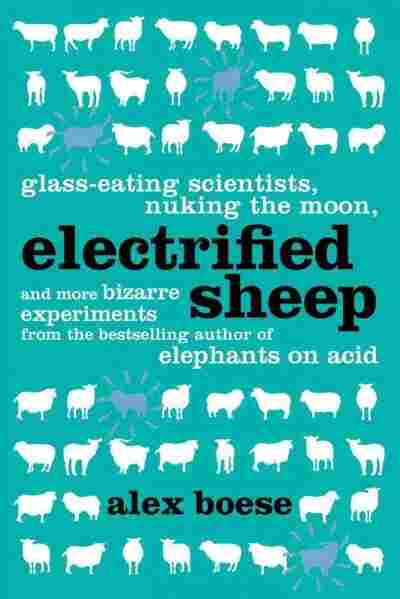 'Electrified Sheep' And Other Odd Experiments : NPR
