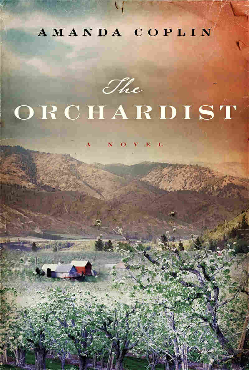 New In Paperback: 'The Orchardist,' 'Norumbega Park,' 'Drift' And ...