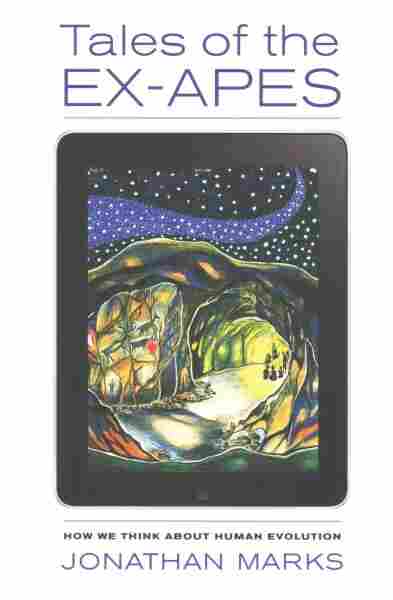 Are We Ex-Apes? A Story Of Human Evolution : 13.7: Cosmos And Culture : NPR