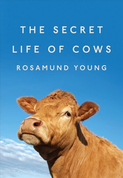 'The Secret Life of Cows' Aims To Show Animals As Thinking, Feeling ...