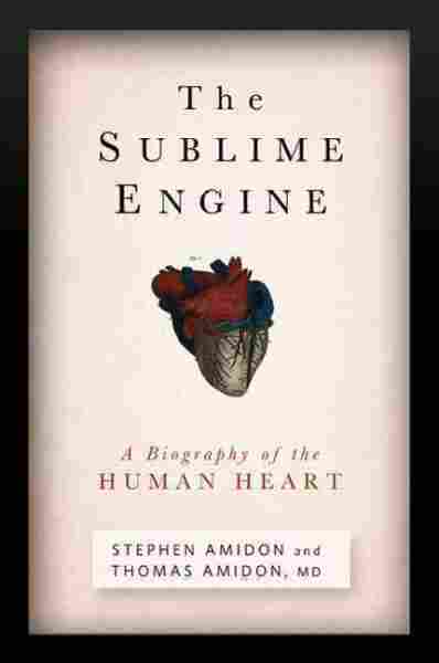 Pump On: A 'Sublime' Biography Of The Human Heart : NPR