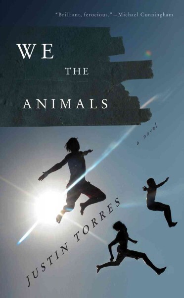 'We The Animals' Delivers A Fiery Ode To Boyhood : NPR