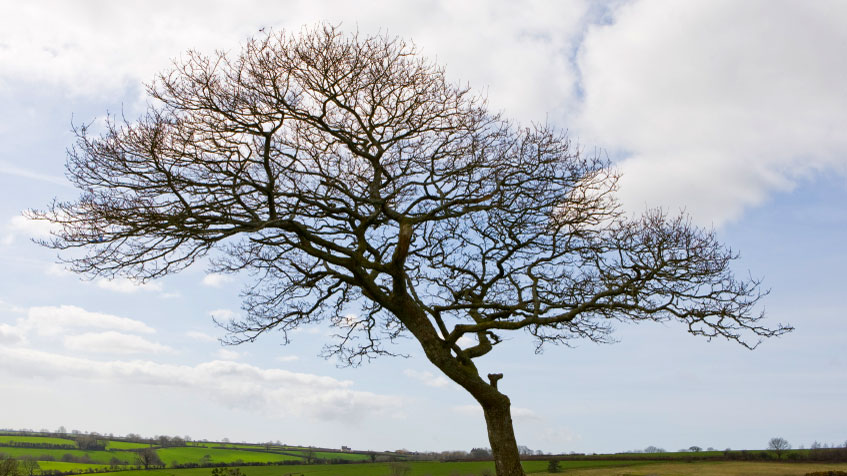 Making Sense Of An Imperfect World - 13.7: Cosmos And Culture Blog : NPR