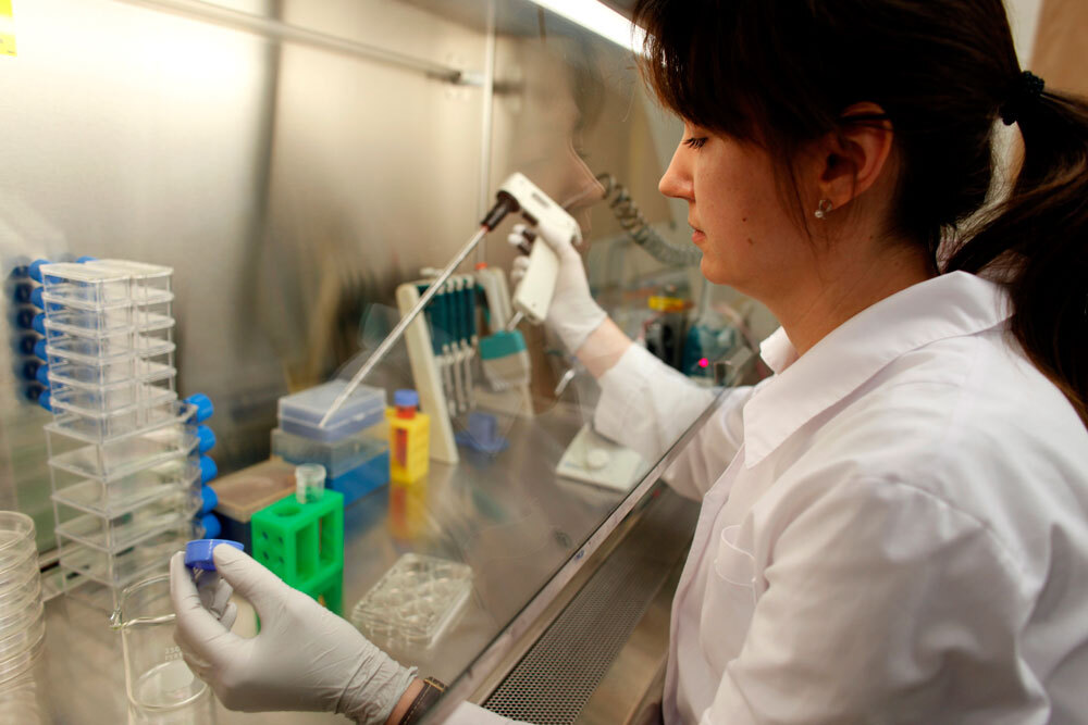 NIH OKs First Human Embryonic Stem Cells Under New Rules : The Two-Way ...