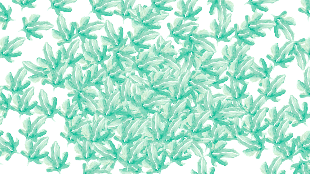 Foraging helped me discover a world of free fruits and veggies | NCPR News