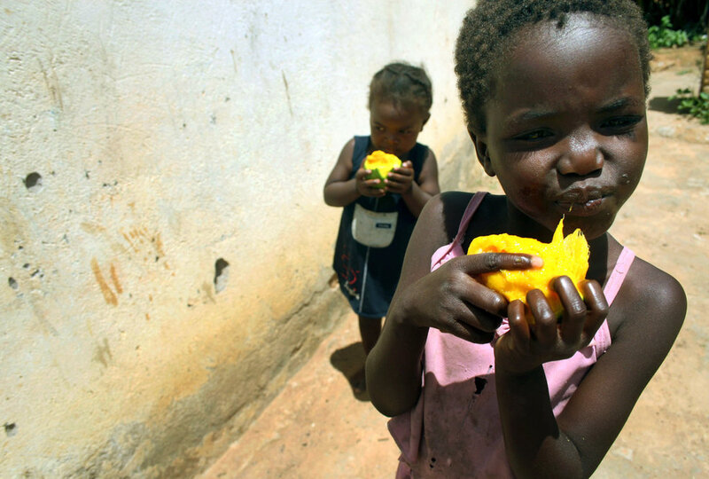 The Fruit Of The Earth : The Picture Show : NPR