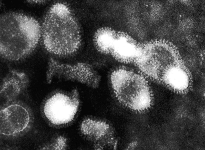 Looking Back At The Flu : The Picture Show : NPR