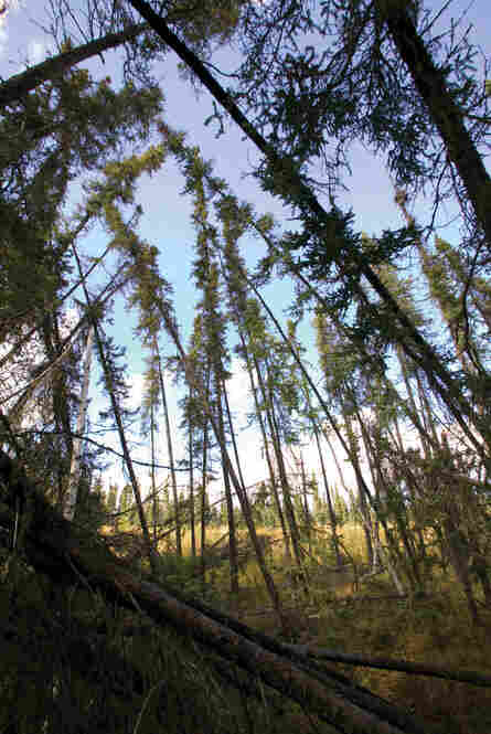 Capturing Climate Change : The Picture Show : NPR