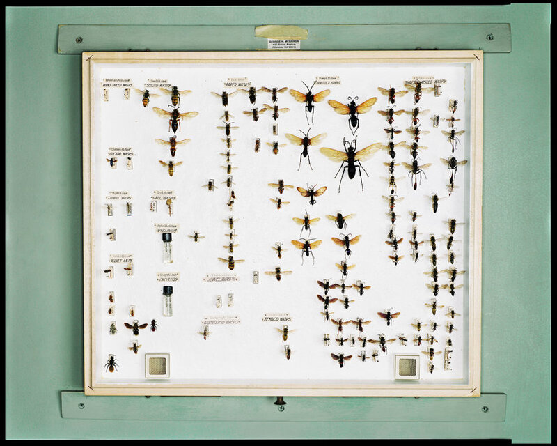 Dan Winters: Periodical Photographs : The Picture Show : NPR