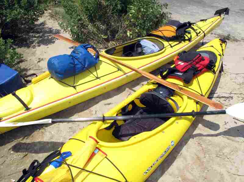 Chesapeake Kayaks : Knights in Training : NPR