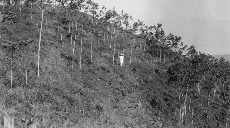 Excerpt: 'Fordlandia' : NPR