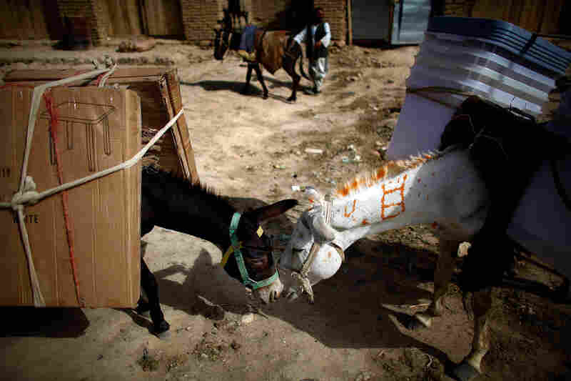 Donkeys Deliver The Vote To Rural Afghanistan : The Picture Show : NPR