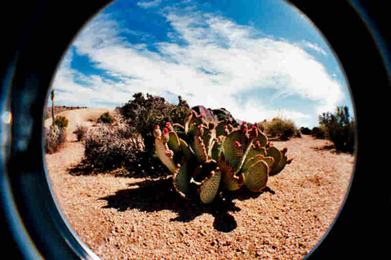 NPR Listeners Have Eyes For Photography : The Picture Show : NPR