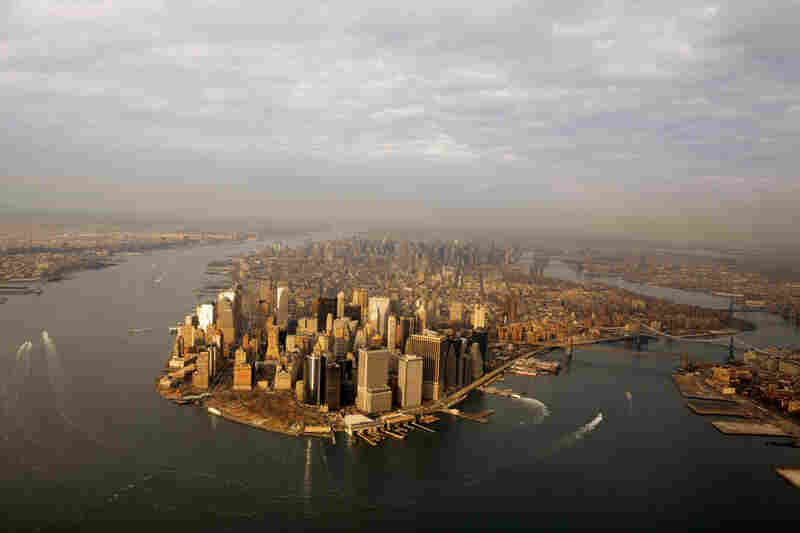 New York City's Wild Past Life : The Picture Show : NPR