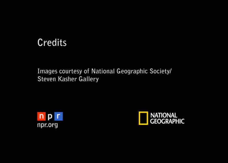 National Geographic Opens Its Vaults : The Picture Show : NPR