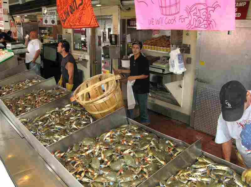 Fish Anyone? : Knights in Training : NPR