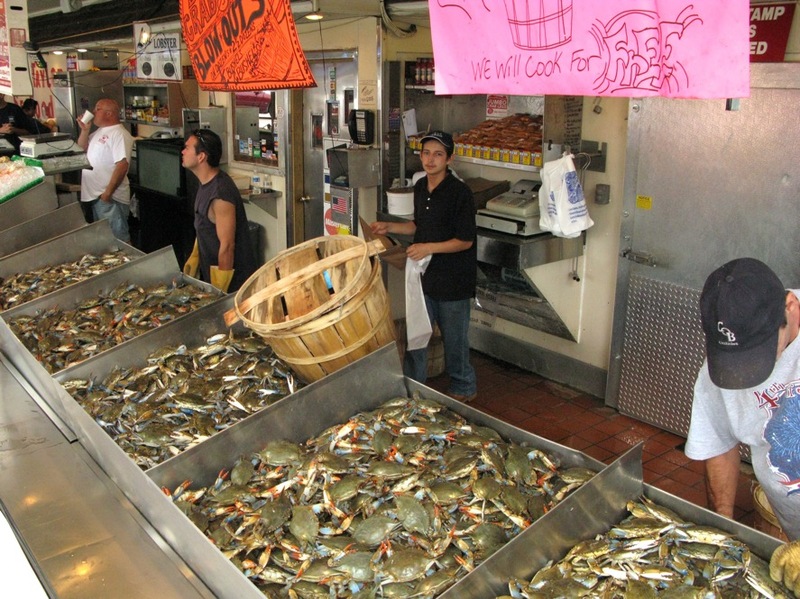 Fish Anyone? : Knights in Training : NPR