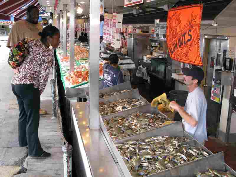 Fish Anyone? : Knights in Training : NPR