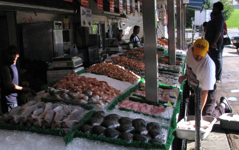 Fish Anyone? : Knights in Training : NPR