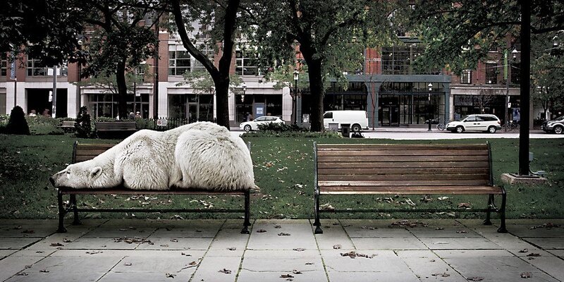 Photography And The Art Of Communication : The Picture Show : NPR