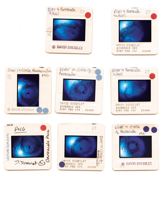 The Art Of The Contact Sheet : The Picture Show : NPR