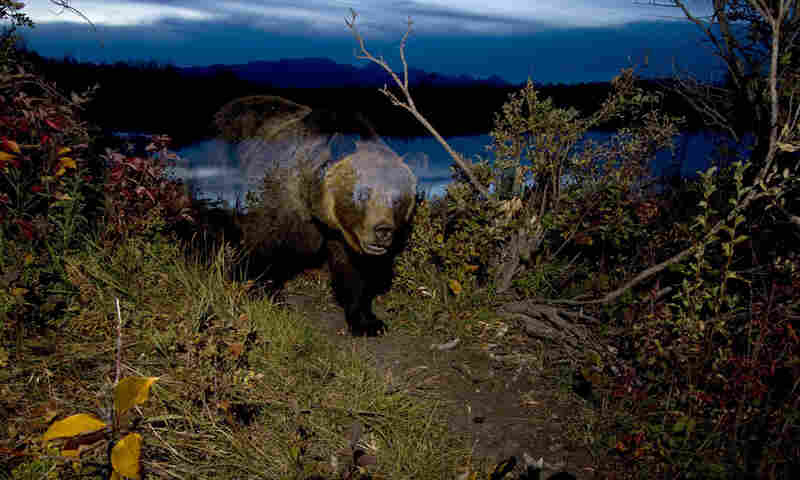 Great Plains Are Great, Not Plain : The Picture Show : NPR