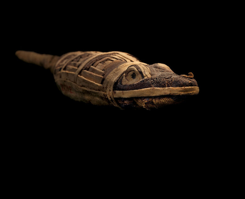 Ancient Animal Mummies : The Picture Show : NPR