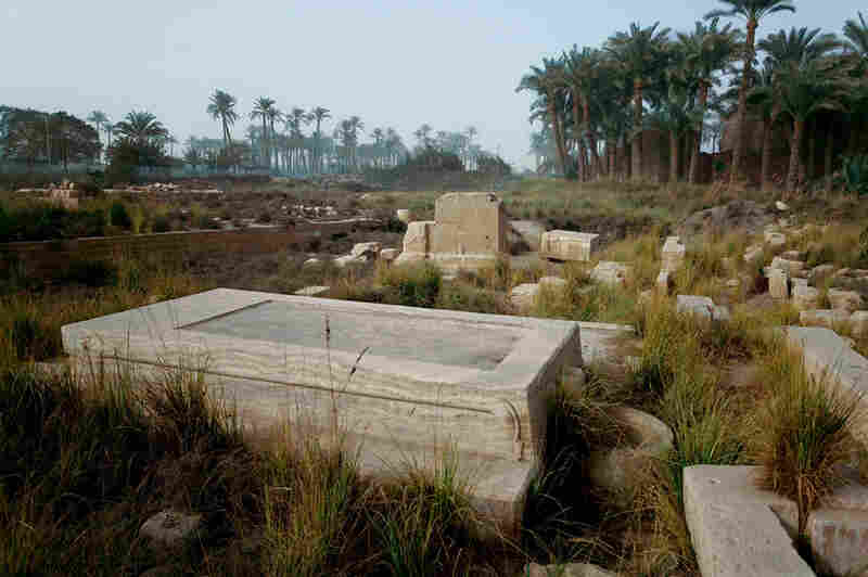 Ancient Animal Mummies : The Picture Show : NPR