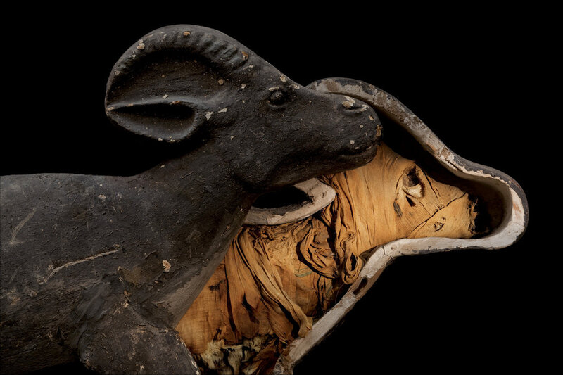 Ancient Animal Mummies : The Picture Show : NPR