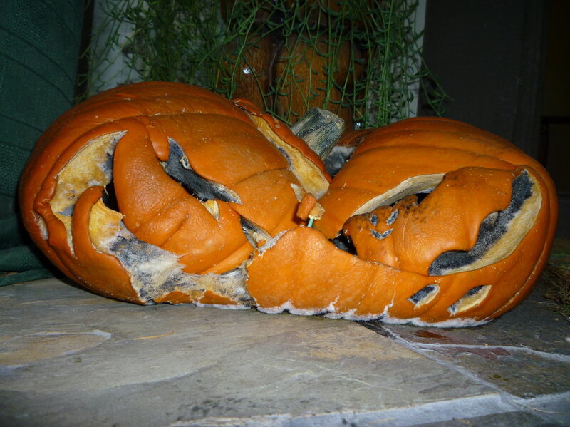 Submissions To The 'Wait, Wait' Pumpkin Carving Contest : Wait Wait ...