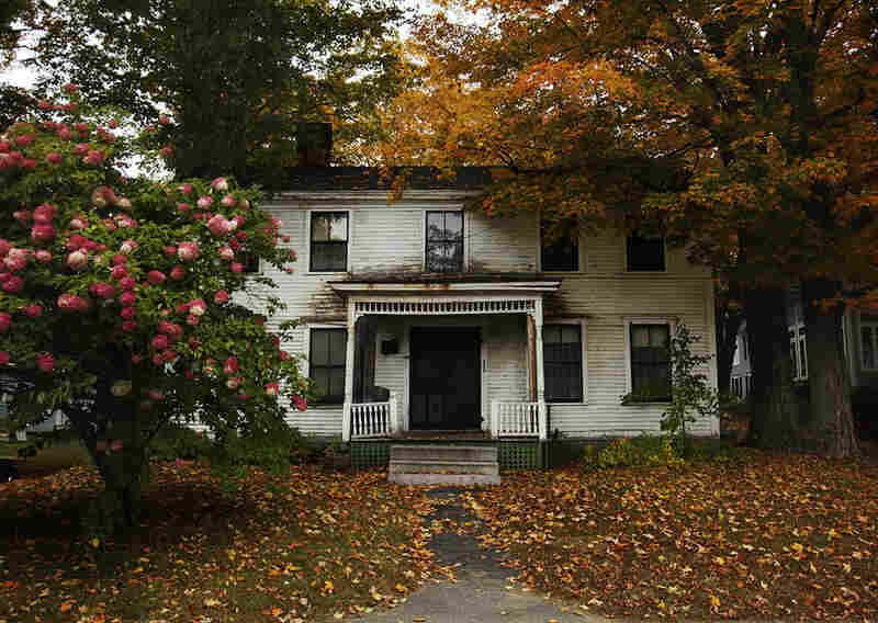 Fall Foliage Photography : The Picture Show : NPR