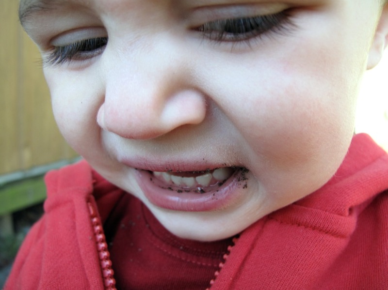 The Toiling Toddler : Knights in Training : NPR