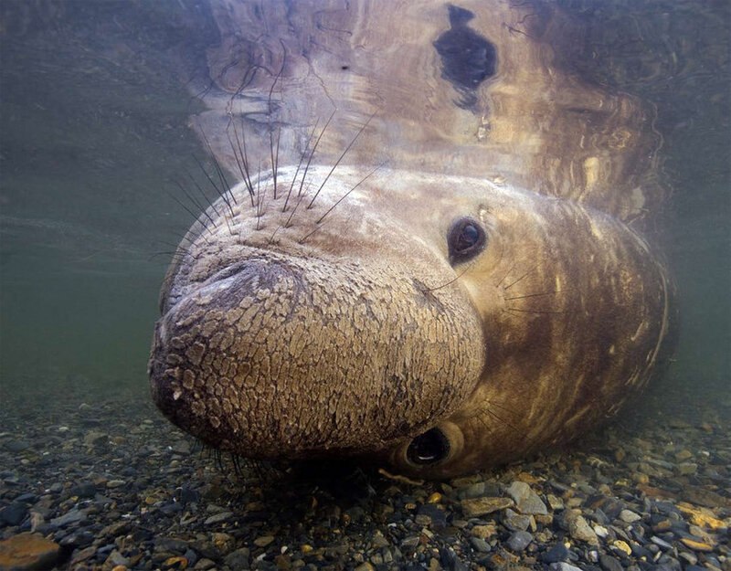 A Photographer's Polar Obsession : The Picture Show : NPR