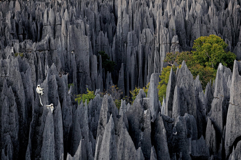 Stone Spire Forest In The Middle Of Nowhere : The Picture Show : NPR