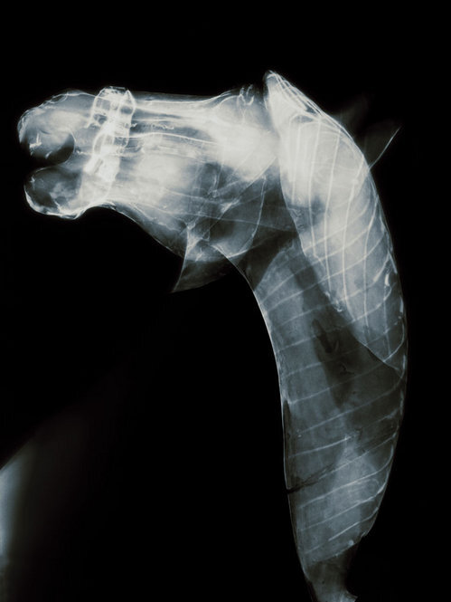 Mystery Ghost Photos : The Picture Show : NPR