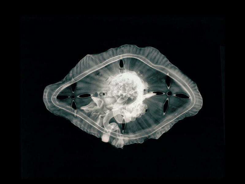 Mystery Ghost Photos : The Picture Show : NPR