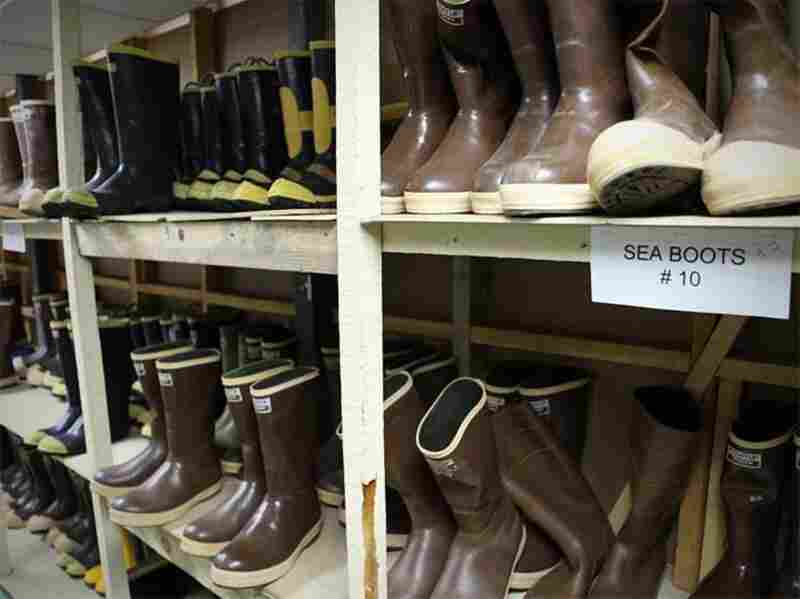 A Gear Lover's Paradise : The Picture Show : NPR