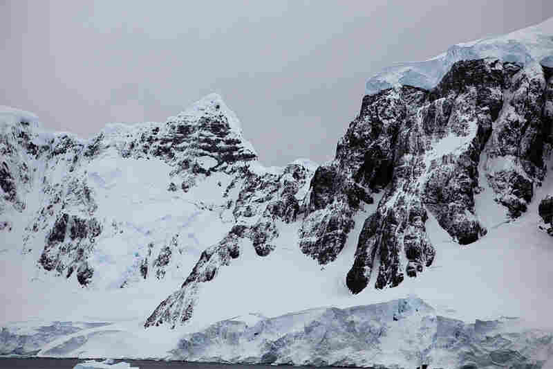 Goodbye Gould, Hello Palmer! : The Picture Show : NPR