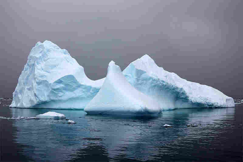 Swimming With Icebergs : The Picture Show : NPR