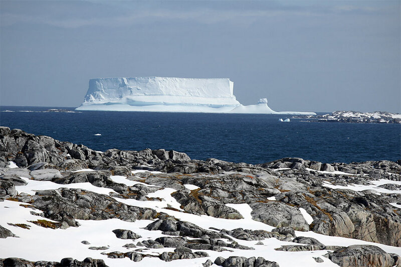 Swimming With Icebergs : The Picture Show : NPR