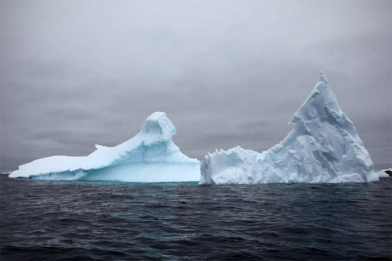 Swimming With Icebergs : The Picture Show : NPR