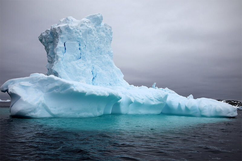 Swimming With Icebergs : The Picture Show : NPR