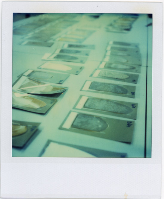 The Impossible Project: Reinventing Polaroid : The Picture Show : NPR