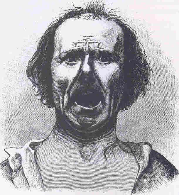 Darwin Had A Camera? : The Picture Show : NPR