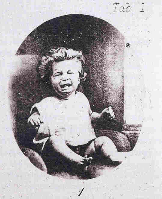 Darwin Had A Camera? : The Picture Show : NPR